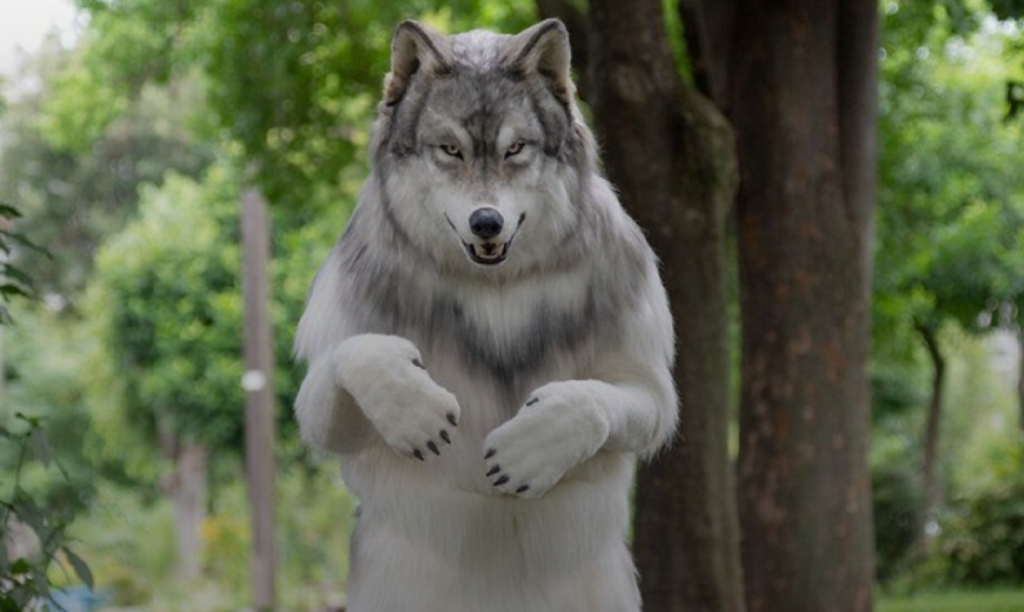Homem gasta R$ 120 mil em fantasia realista de lobo
